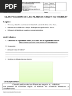 Los Seres Vivos y El Medio Ambiente 3º Primaria | PDF | Plantas | Alimentos