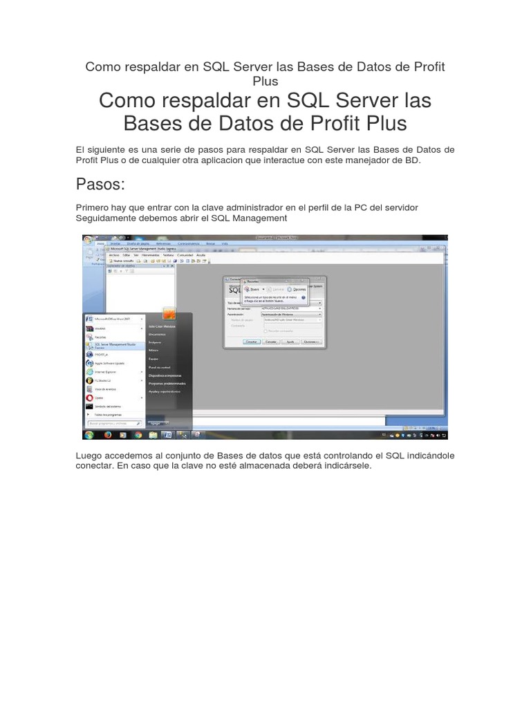 Como Respaldar en SQL Server Las Bases de Datos de Profit Plus | PDF