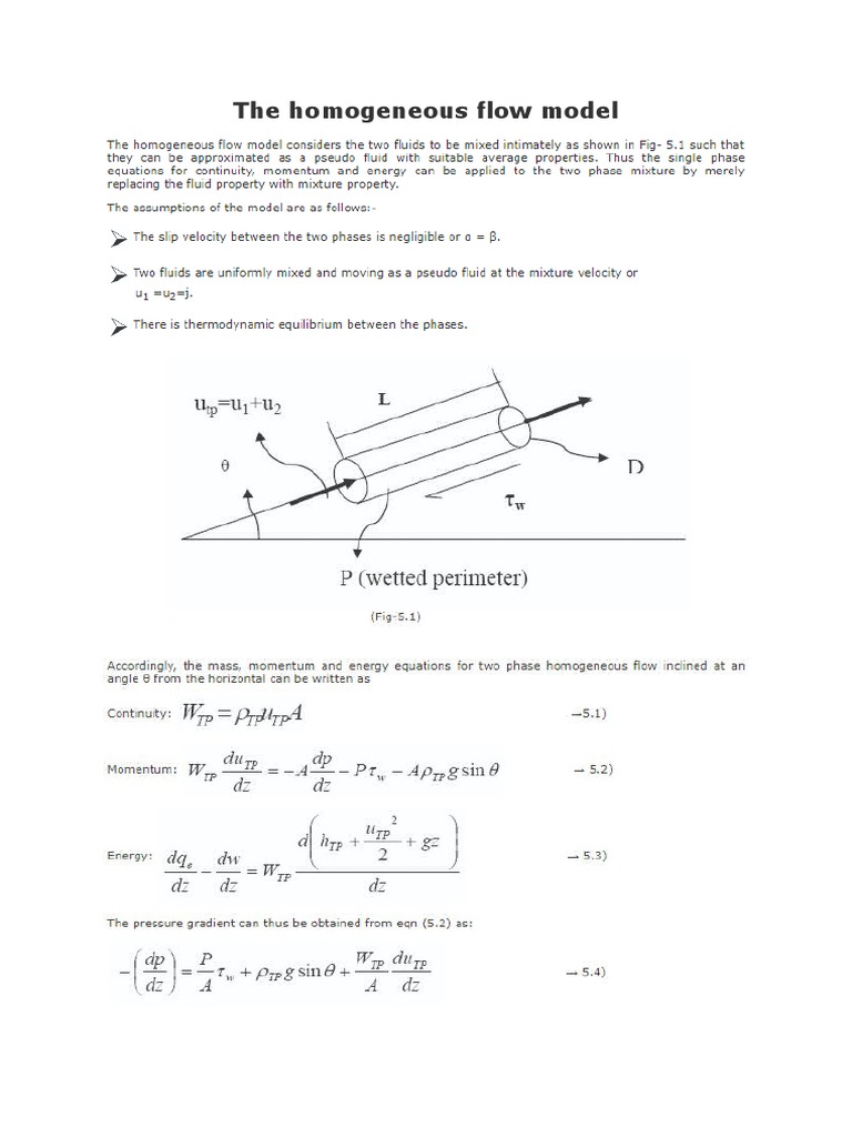 The Homogeneous Flow Model | PDF