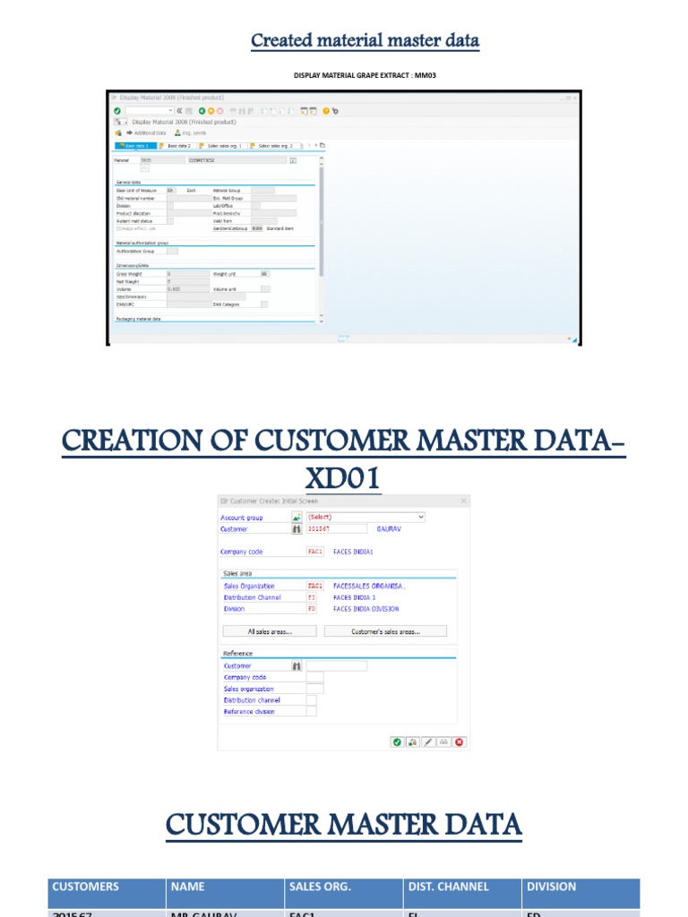 Created Material Master Data: Display Material Grape Extract: Mm03 | PDF