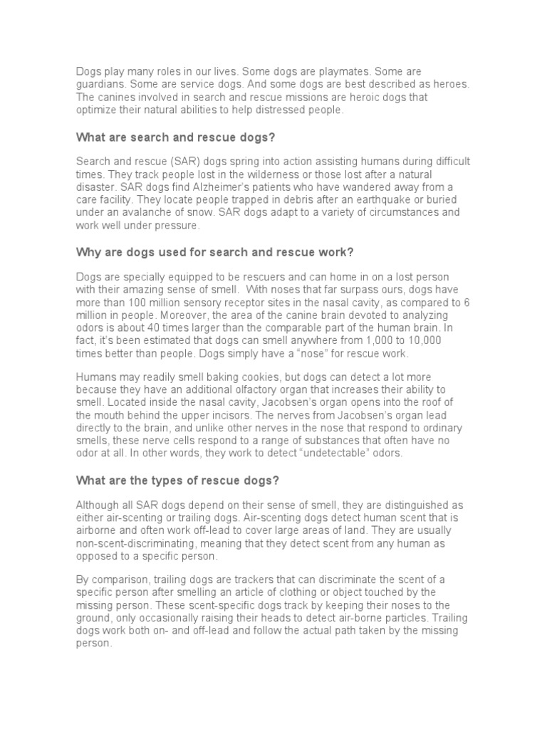 What Are Search and Rescue Dogs? | PDF | Search And Rescue Dog ...