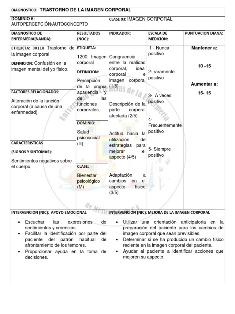 Pae Plan de Cuidados | PDF | Obesidad | Sicología