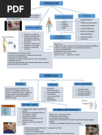 Fases Neurologicas de La Hipoglucemia | PDF