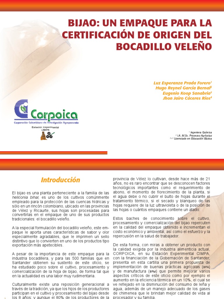 Produccion de Bijao | PDF | Chimenea | Plaga (organismo)