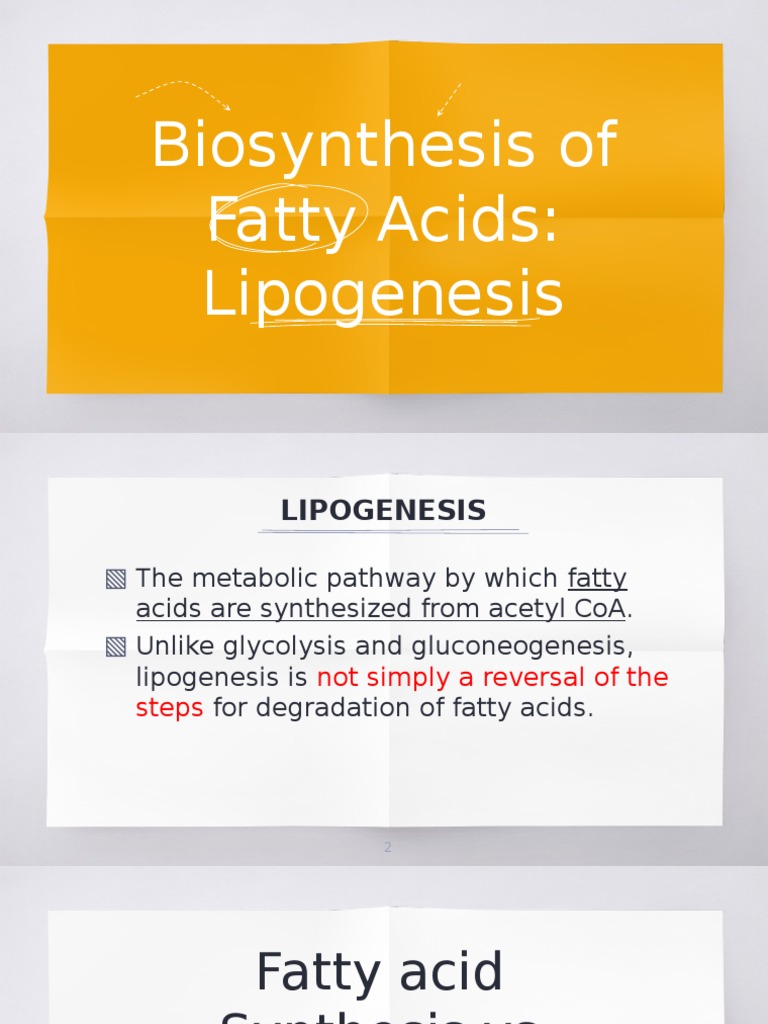 Biosynthesis of Fatty Acids: Lipogenesis | PDF | Fatty Acid | Biosynthesis