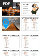 ABLLS-R Protocol 2018 | PDF | Hand | Human Anatomy