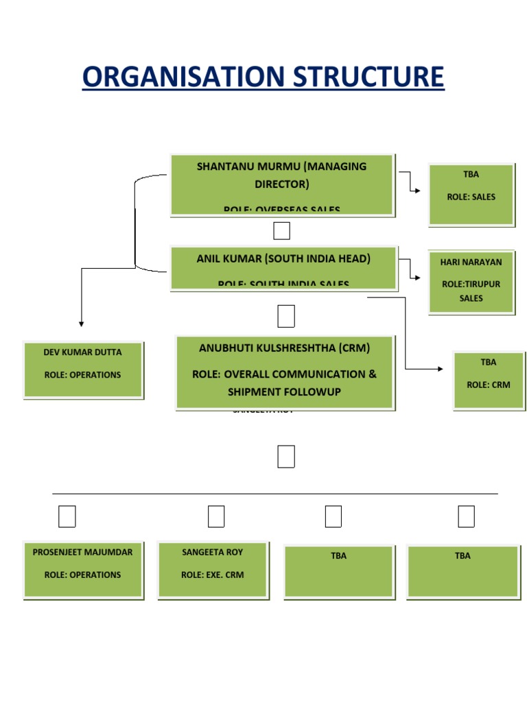 Sales Team Organizational Structure | PDF