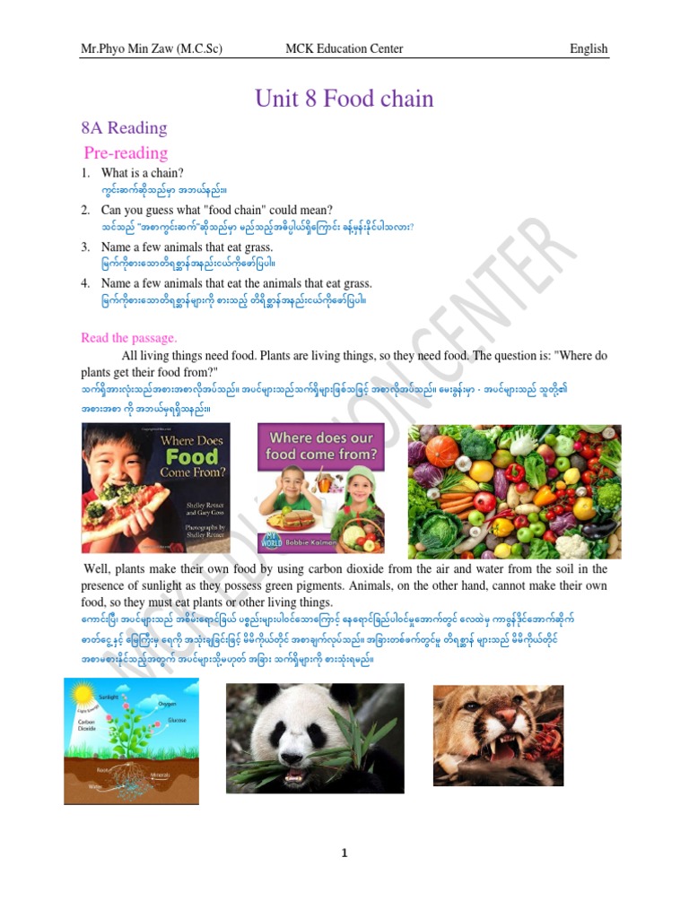 Unit 8 Food Chain PDF | PDF