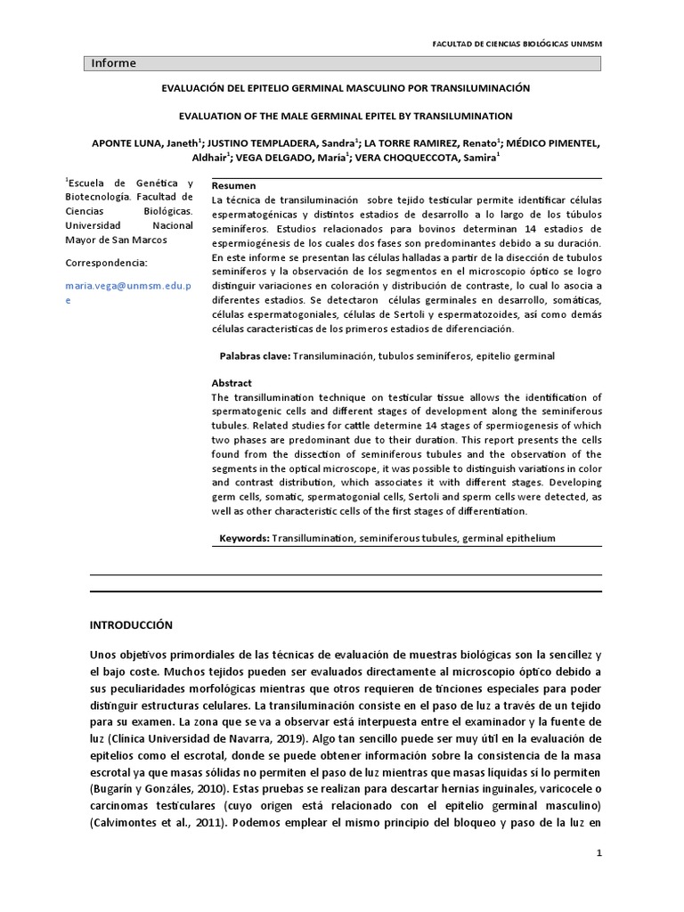 Transiluminación | PDF | Anatomía | Sistema reproductivo