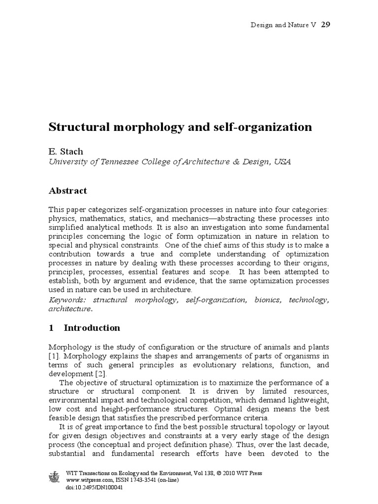 Structural Morphology and Self-Organization: E. Stach | PDF ...