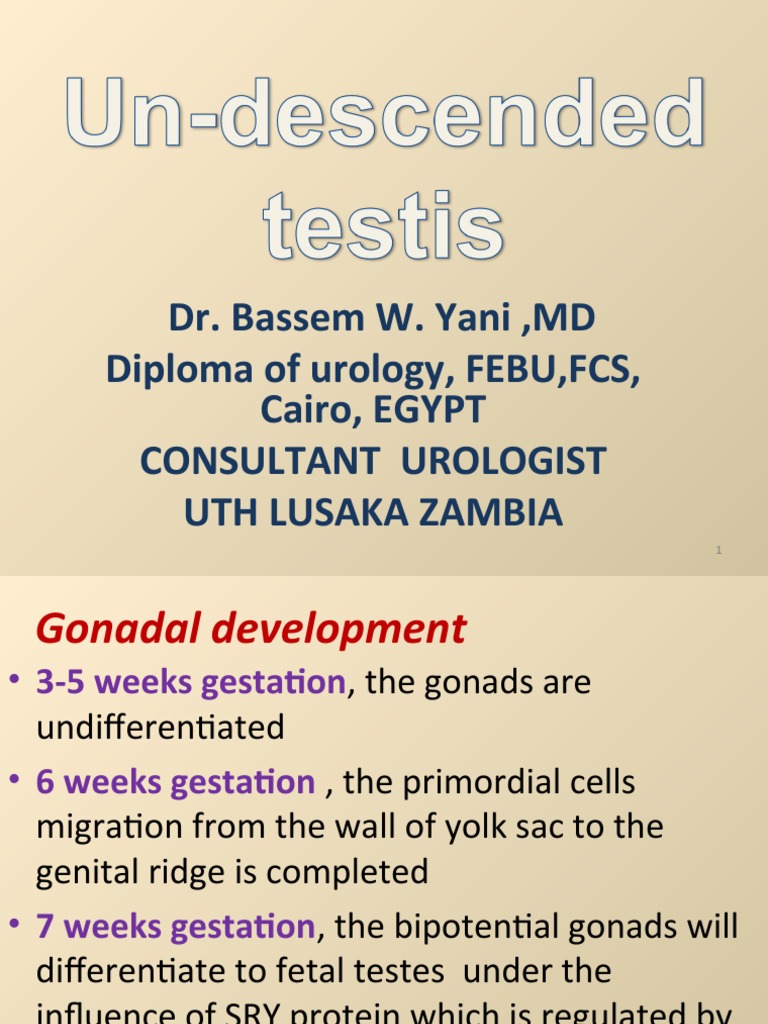 Undescended Testis: Diagnosis & Treatment | PDF | Testicle ...