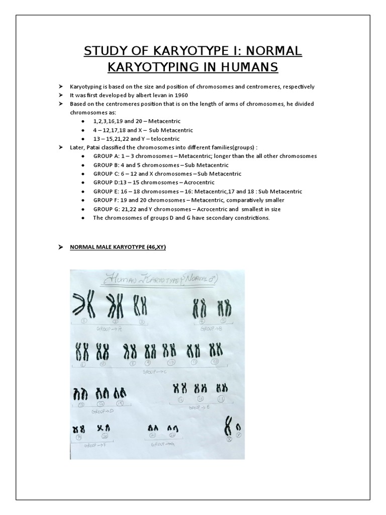 Study of Karyotype I: Normal Karyotyping in Humans | PDF