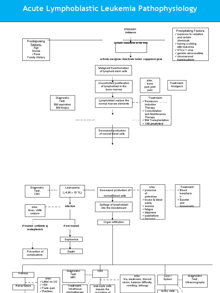 Acute Lymphoblastic Leukemia Pathophysiology Diagram | PDF | Leukemia ...