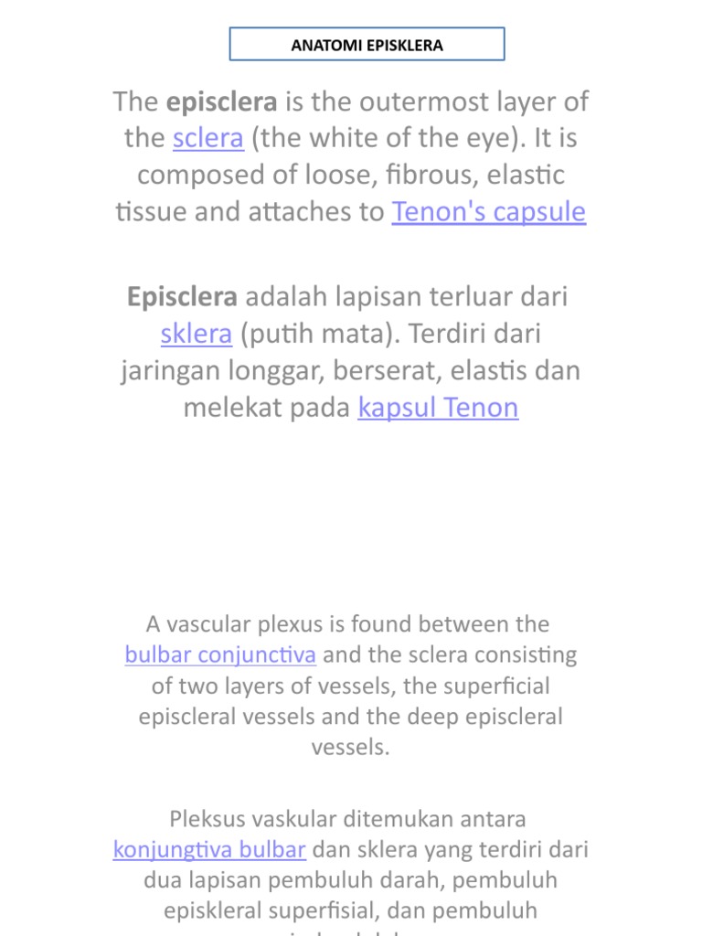 Anatomi Mata Episklera Inggris | PDF