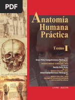 Teoría de La Matriz Funcional de Melvin Moss | PDF | Cráneo | Ortodoncia