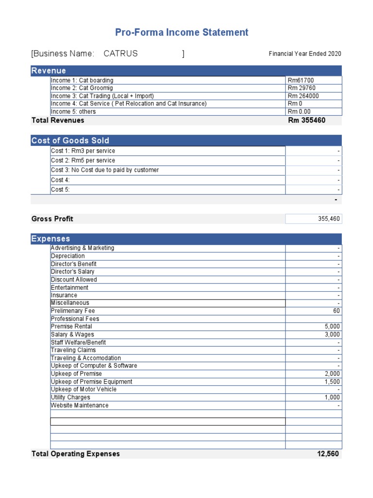 Pro-Forma Income Statement: Revenue | PDF | Equity (Finance) | Expense