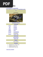 Rana Nodriza Niputidea (Allobates Niputidea) NaturaLista Colombia | PDF