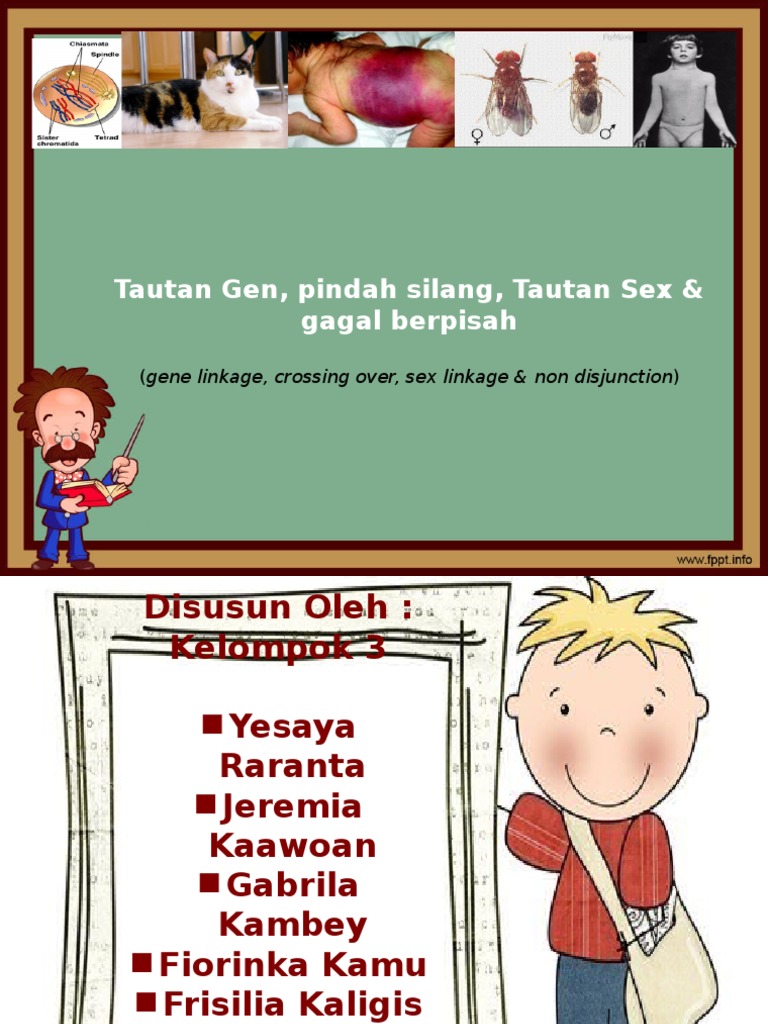 Genetika: Tautan dan Pindah Silang | PDF