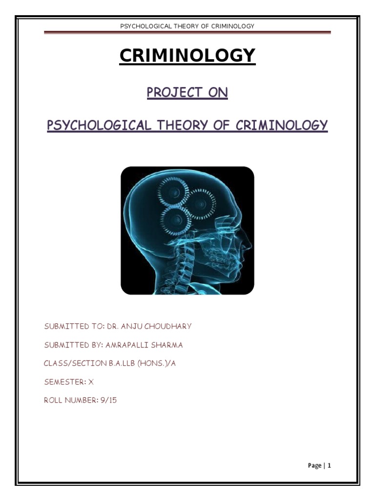 Criminology Project | PDF | Id | Mental Disorder