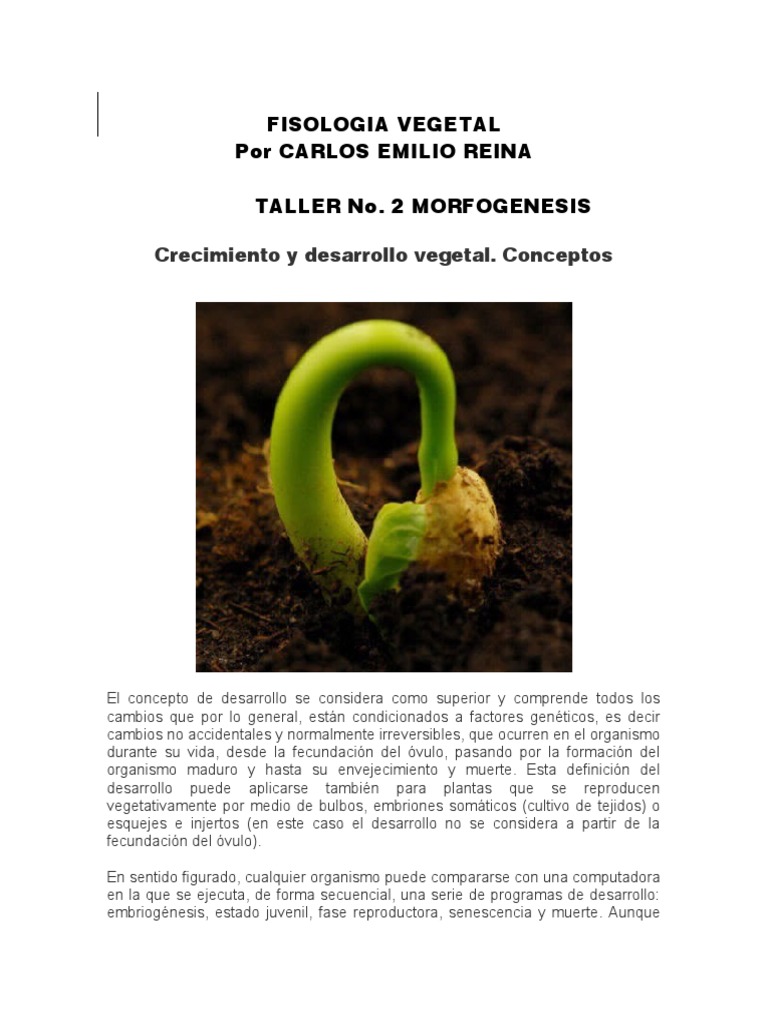 Morfogénesis y Desarrollo Vegetal | PDF | Diferenciación celular | Plantas