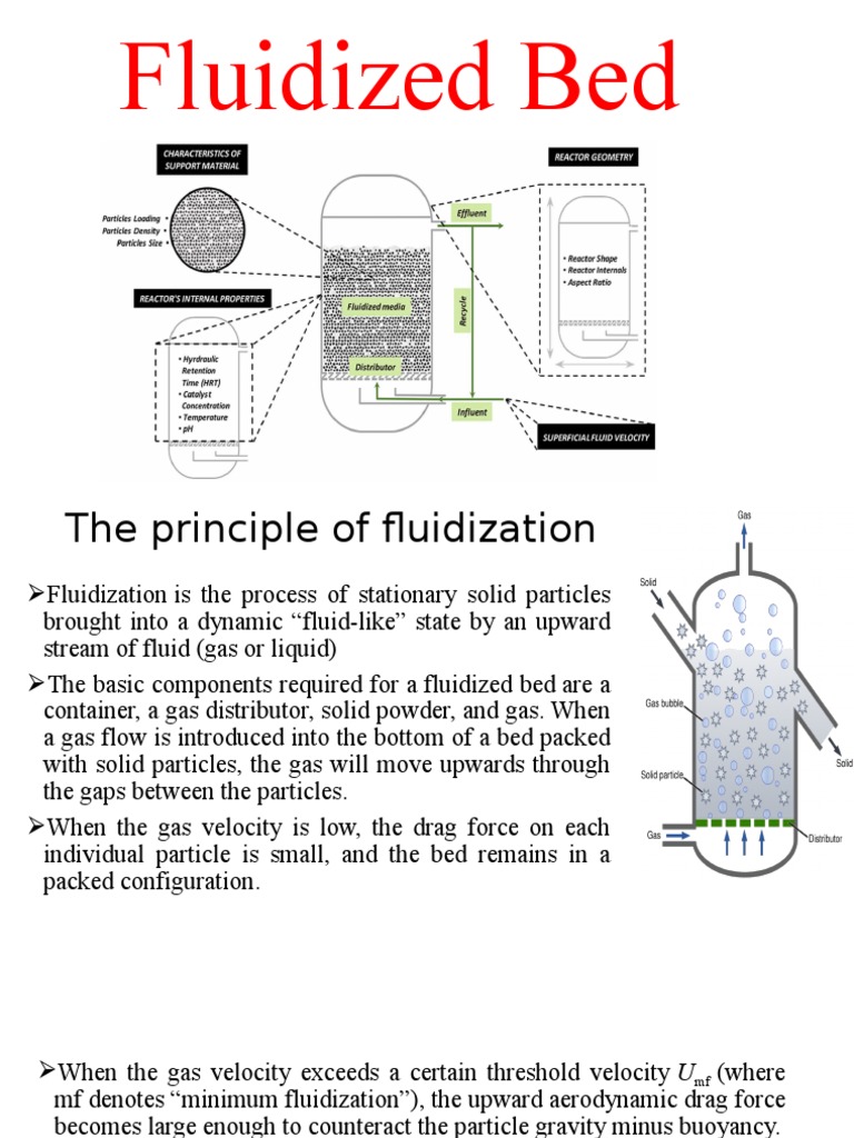 Fluidised Bed Reactor | PDF | Fluidization | Gases
