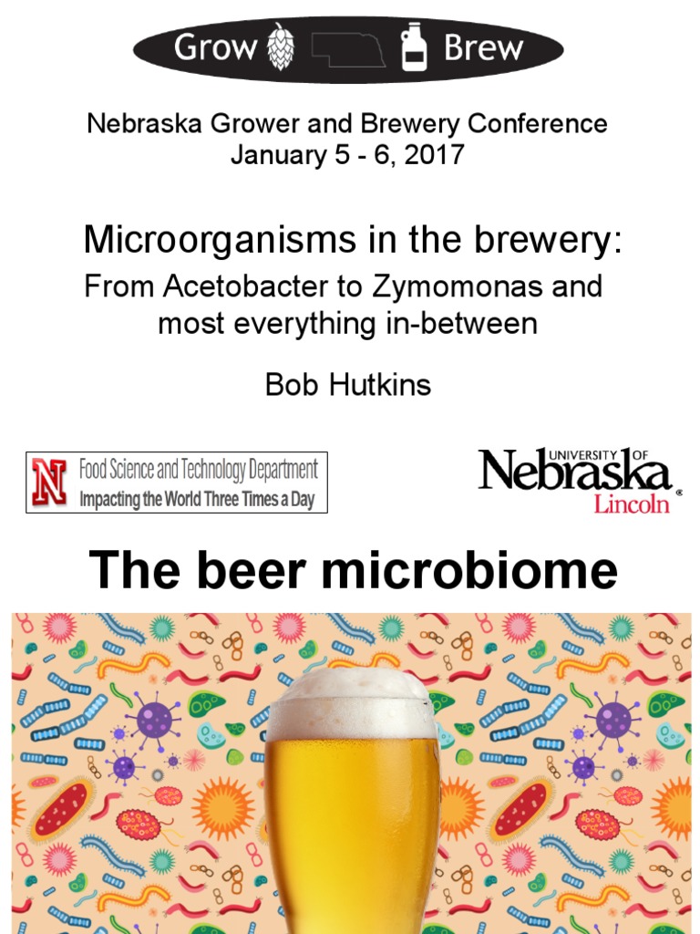 Microorganisms in The Brewery From Acetobacter To Zymomonas and Most ...