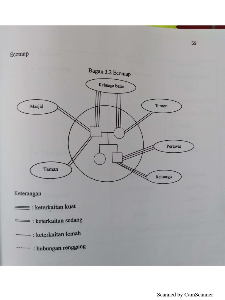 Contoh Ecomap PDF | PDF