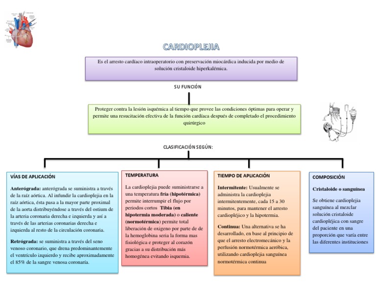 Cardioplejia | PDF | Corazón | Sistema circulatorio