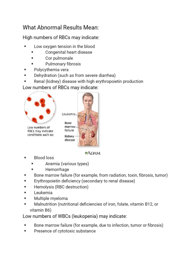 What Abnormal Results Mean:: High Numbers of Rbcs May Indicate | PDF