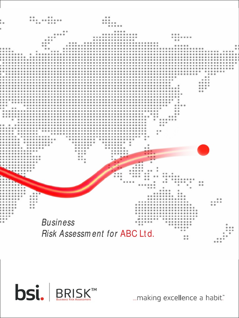 BRISK Report - Sample PDF | PDF | Risk | Risk Management