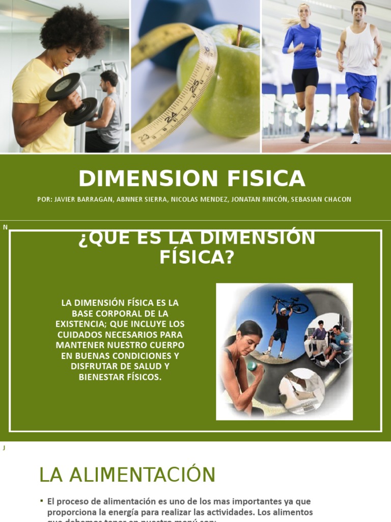 Dimension Fisica | PDF