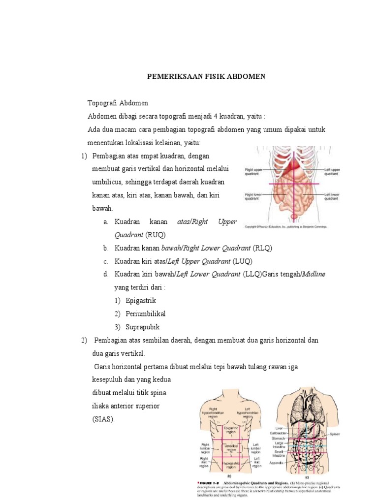 Pemeriksaan Fisik Abdomen | PDF