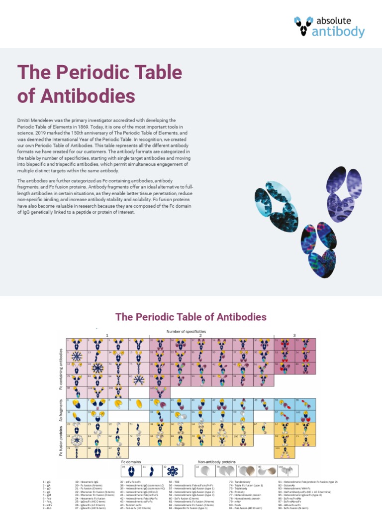 Periodic Table of Antibodies | PDF | Antibody | Immunoglobulin G