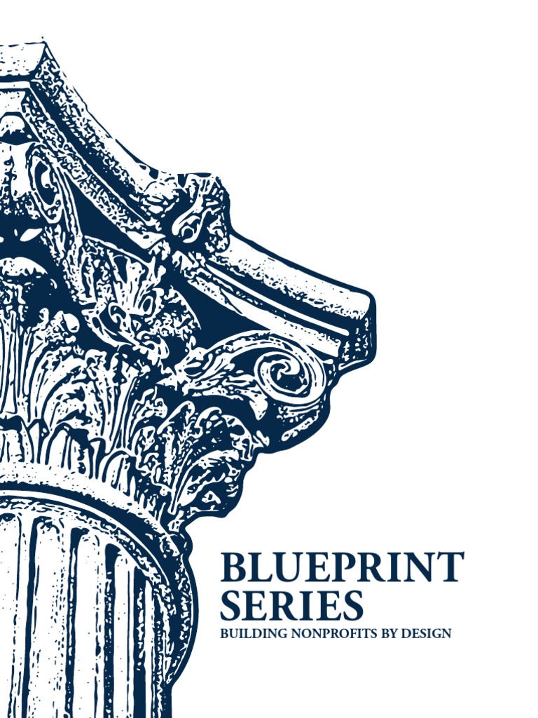 BluePrint Series Information | Download Free PDF | Nonprofit ...