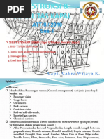 Plimsoll Mark | PDF