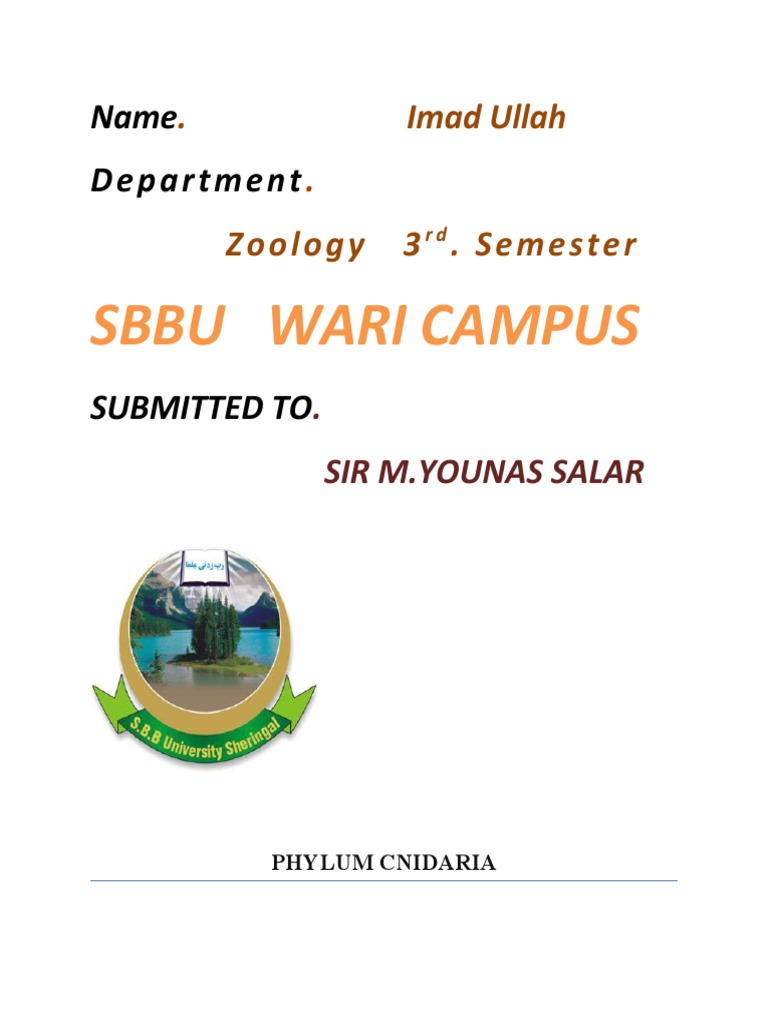 Imad Ullah Assigment | PDF | Venomous Animals | Zoology