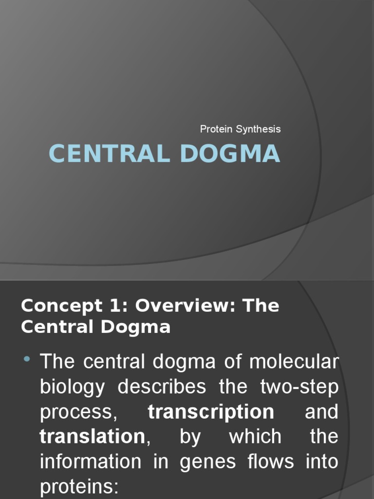 CENTRAL DOGMA Translation Transcription Protein Synthesis | PDF | Rna ...