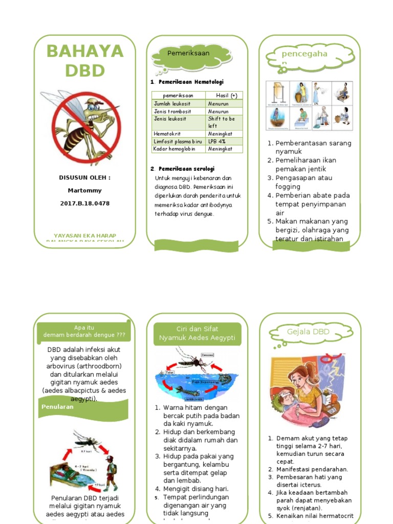 Leaflet DSS - DBD - Martommy - D Iii | PDF