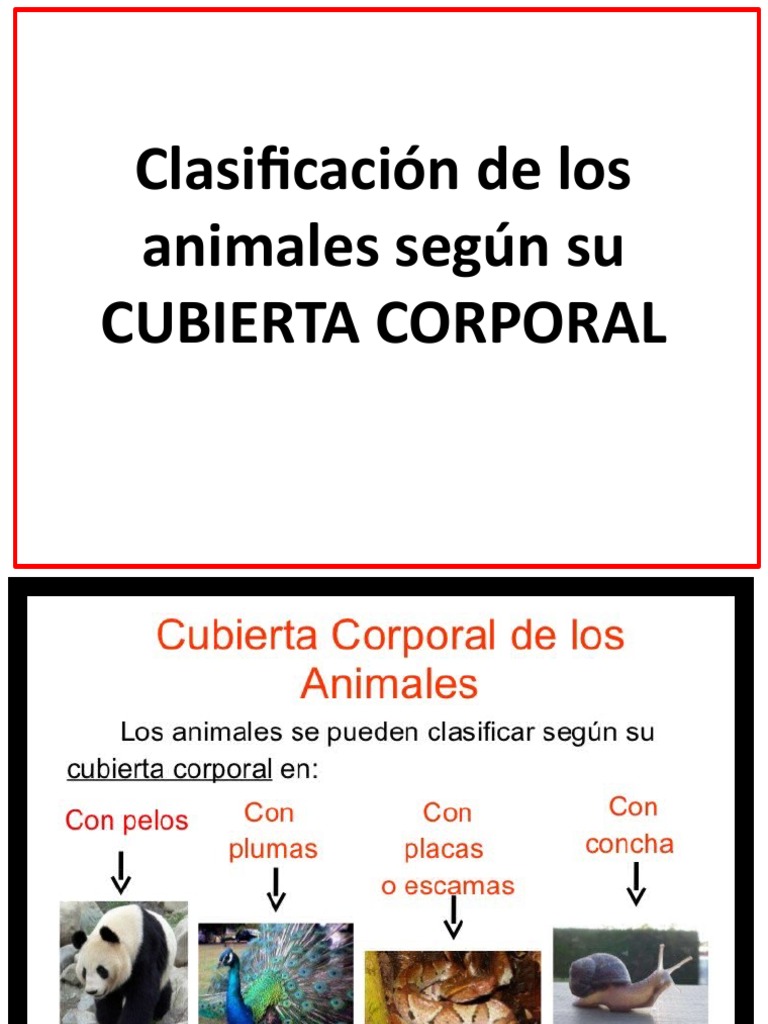 Clasificación de Los Animales Según Su CUBIERTA CORPORAL | PDF