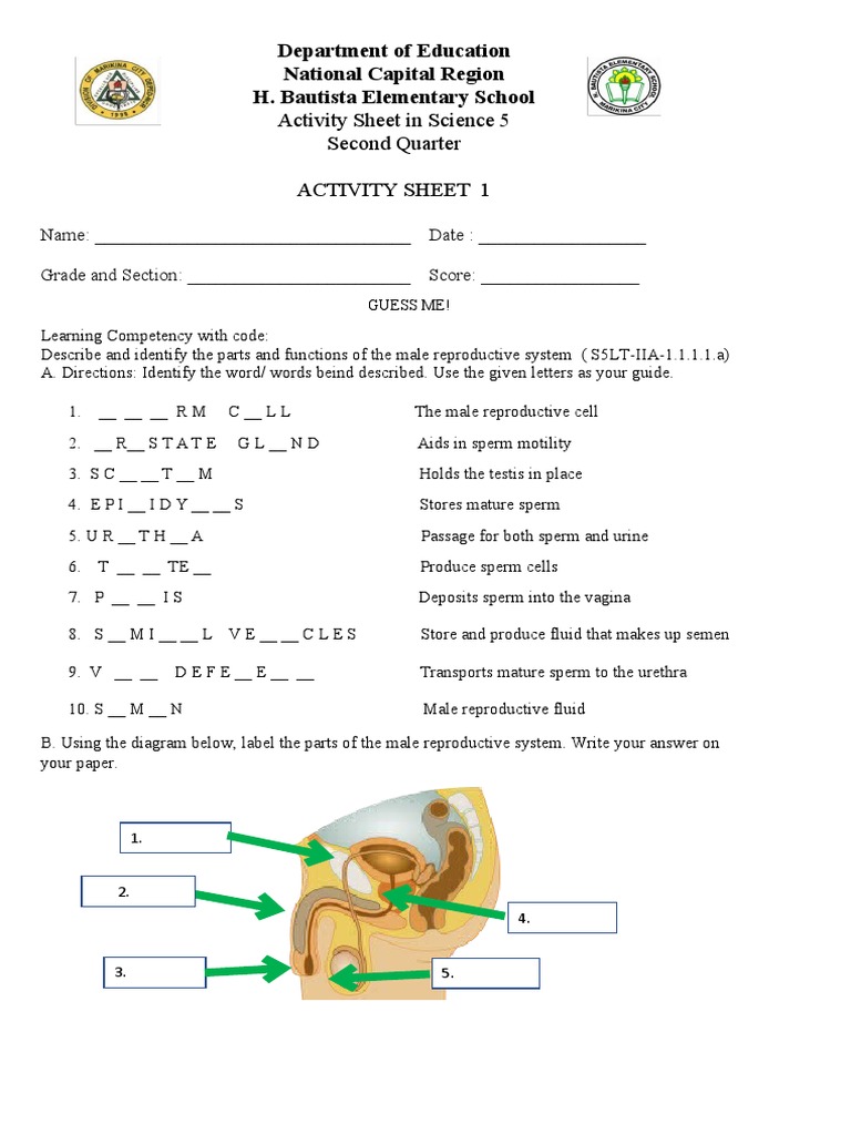 Activity Sheet in Science 5 Second Quarter Activity Sheet 1 | PDF ...