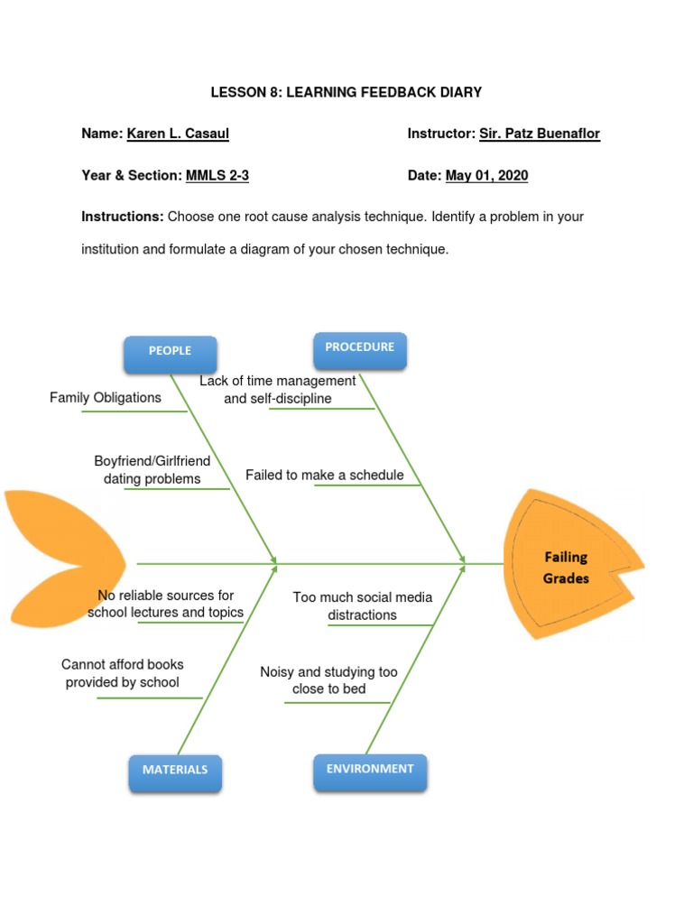 Lesson 8 LEARNING FEEDBACK DIARY | PDF
