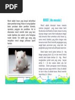 Karakteristik Morfologi Mencit | PDF | Sains & Matematika