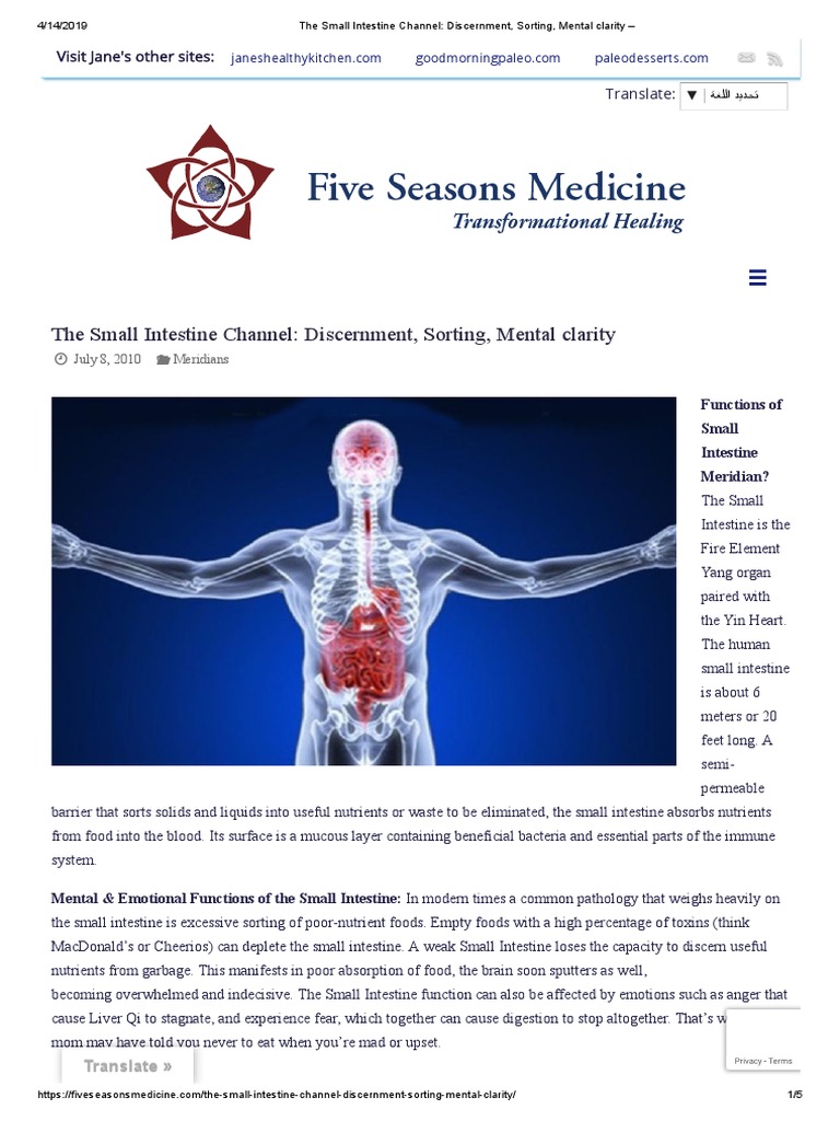 The Small Intestine Channel - Discernment, Sorting, Mental Clarity ...