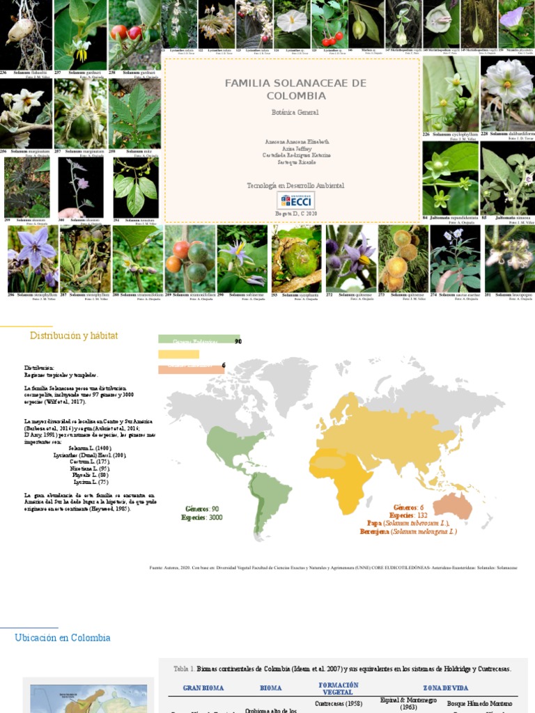 Final | PDF | Plantas | Organismos