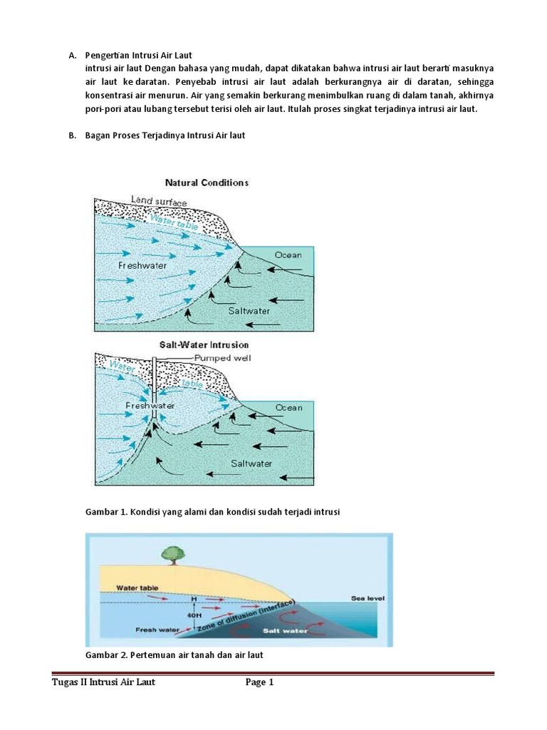 Intrusi Air Laut | PDF