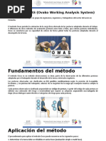 Metodo Rula Excel | PDF | Sistema musculoesquelético | Anatomía humana