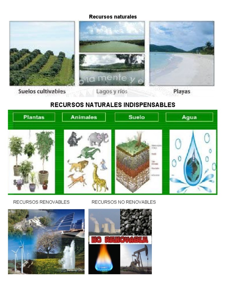 Recursos Naturales Renovables y No Renovables | PDF