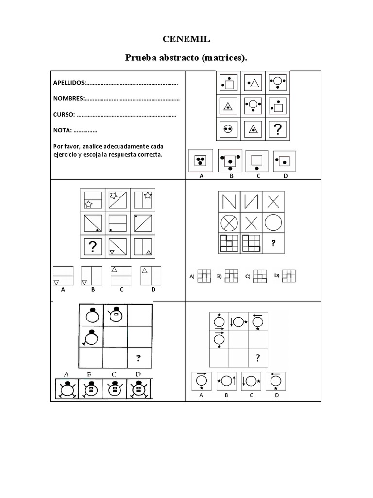 Prueba de Matrices | PDF