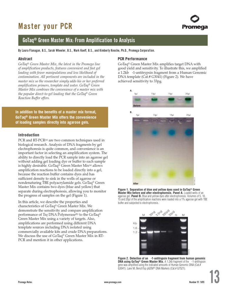 Promega Green Mix | PDF | Agarose Gel Electrophoresis | Polymerase ...