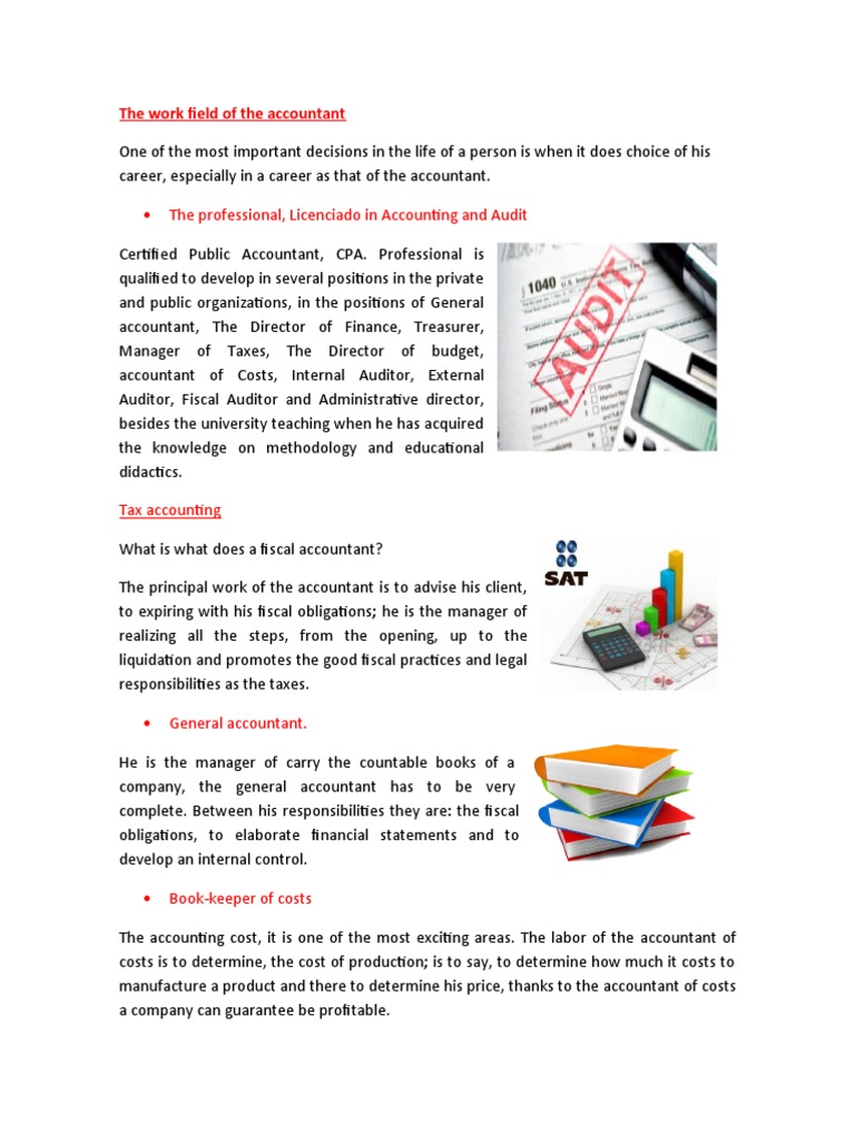 The Work Field of The Accountant | PDF | Accountant | Certified Public ...